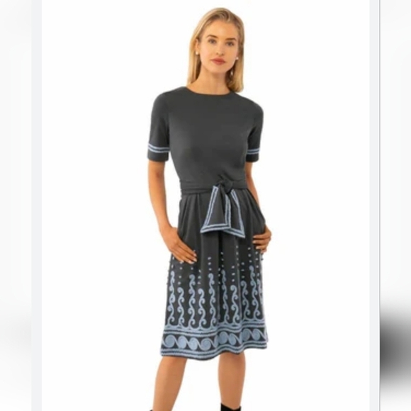 Gretchen Scott Designs | Dresses | Gretch Scott The Charmer Dress Midi ...